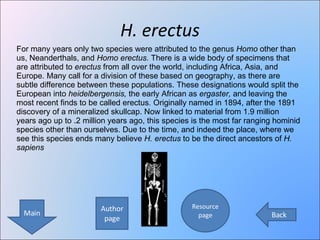 Human Evolution Interactive Powerpoint Presentation | PPT