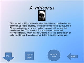 Human Evolution Interactive Powerpoint Presentation | PPT