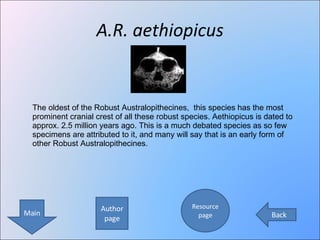 Human Evolution Interactive Powerpoint Presentation | PPT