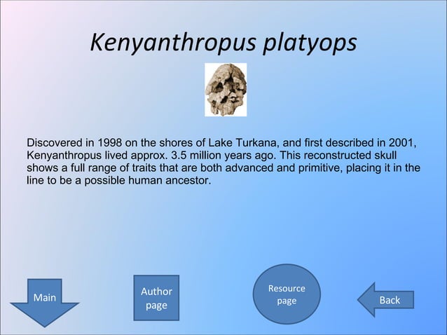 Human Evolution Interactive Powerpoint Presentation | PPT