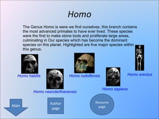 Human Evolution Interactive Powerpoint Presentation | PPT