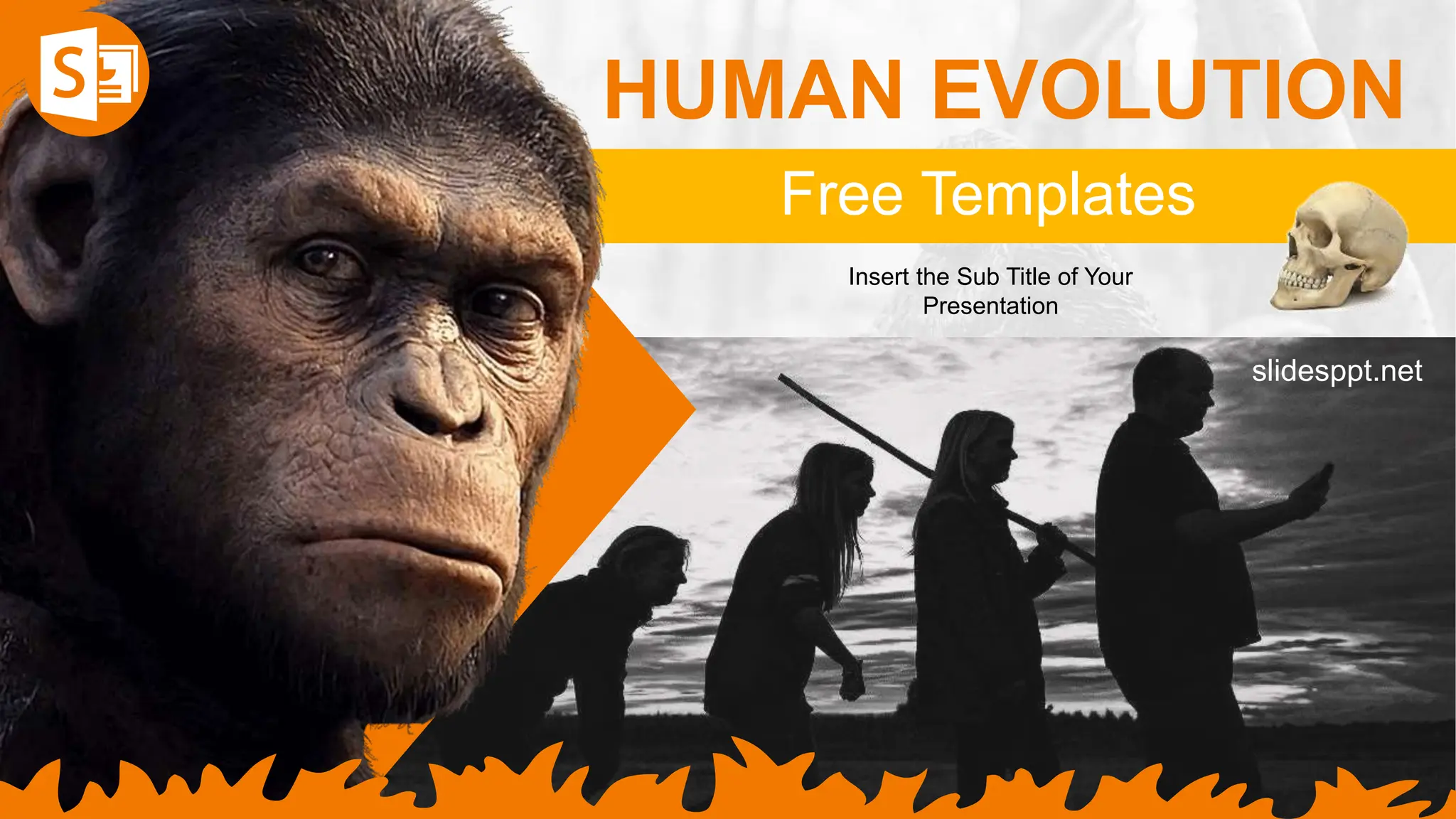 Human-Evolution-Template-slidesppt.net_.pptx