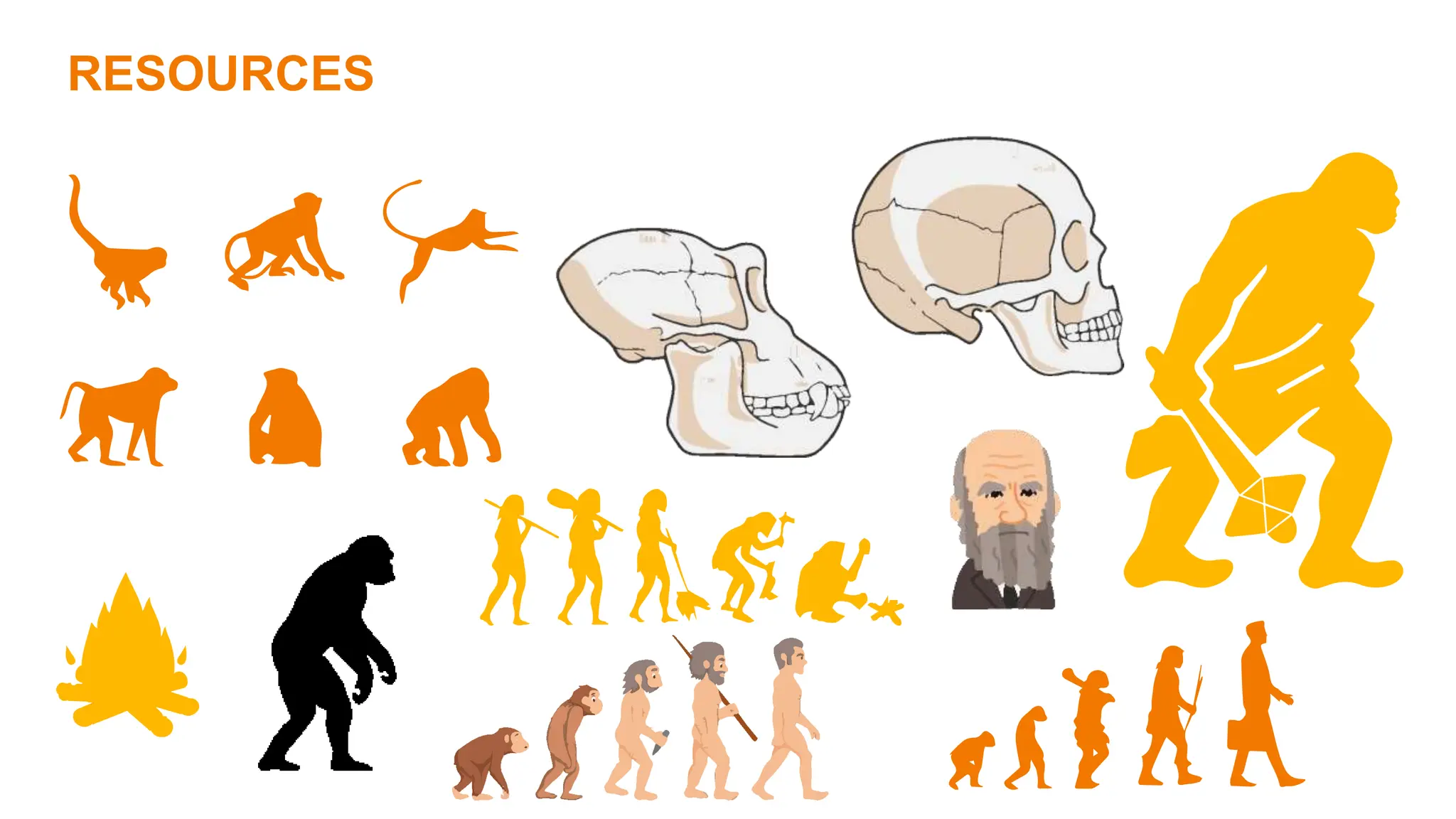 Human-Evolution-Template-slidesppt.net_.pptx