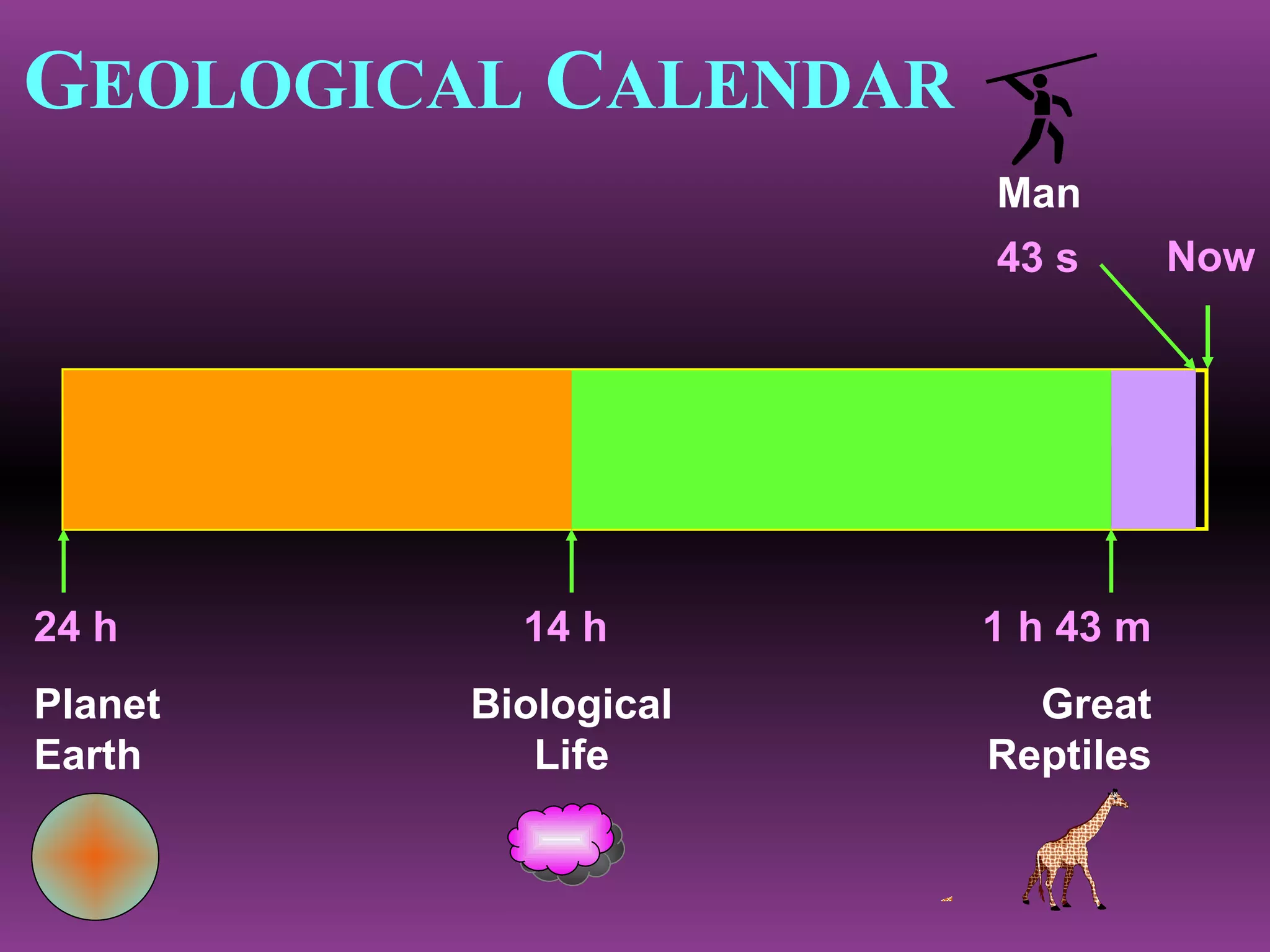 Human Evolution | PPT