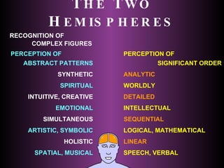 Human Evolution | PPT