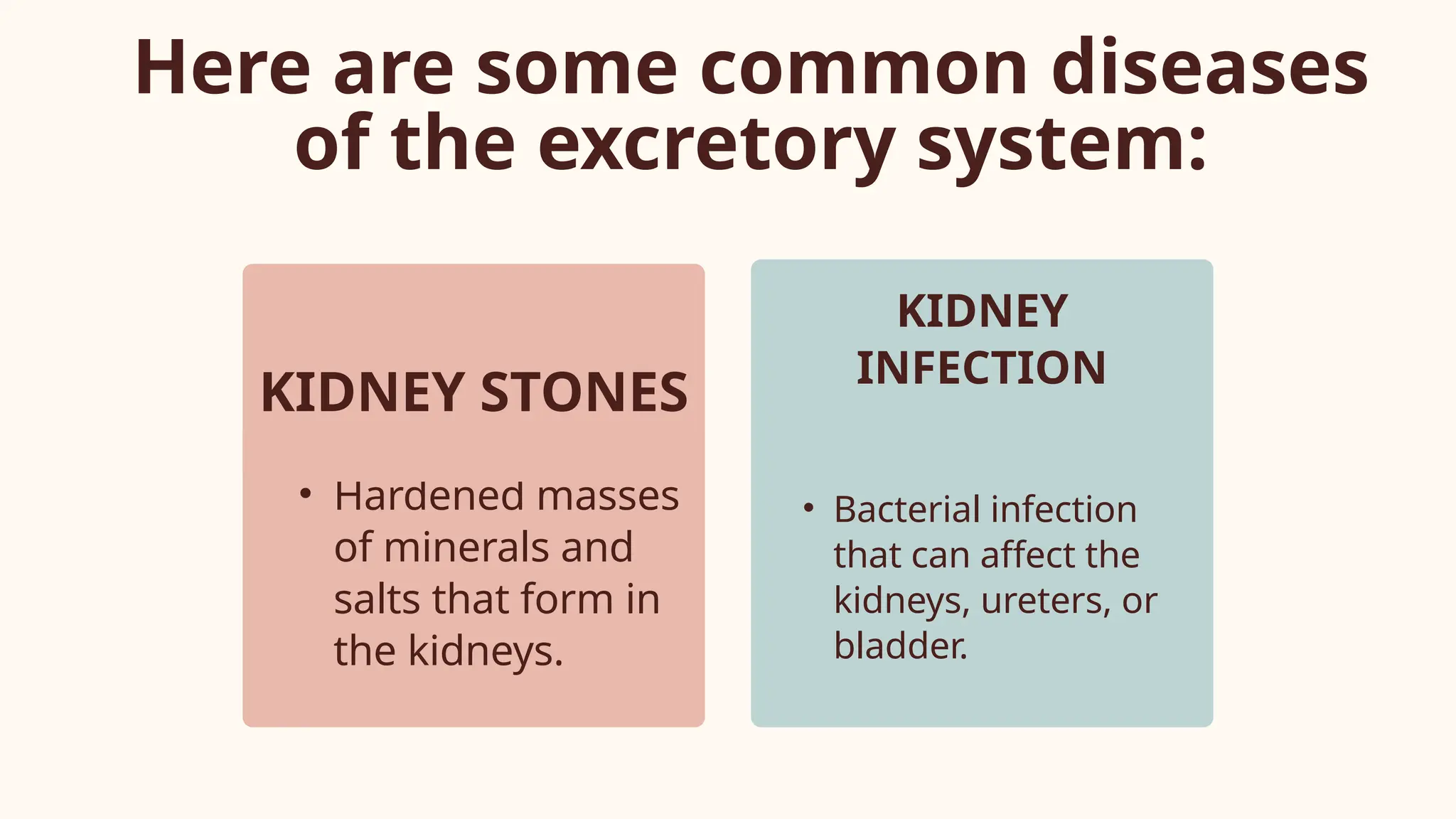 HUMAN EXCRETORY SYSTEM- is the study in the human body | PPTX