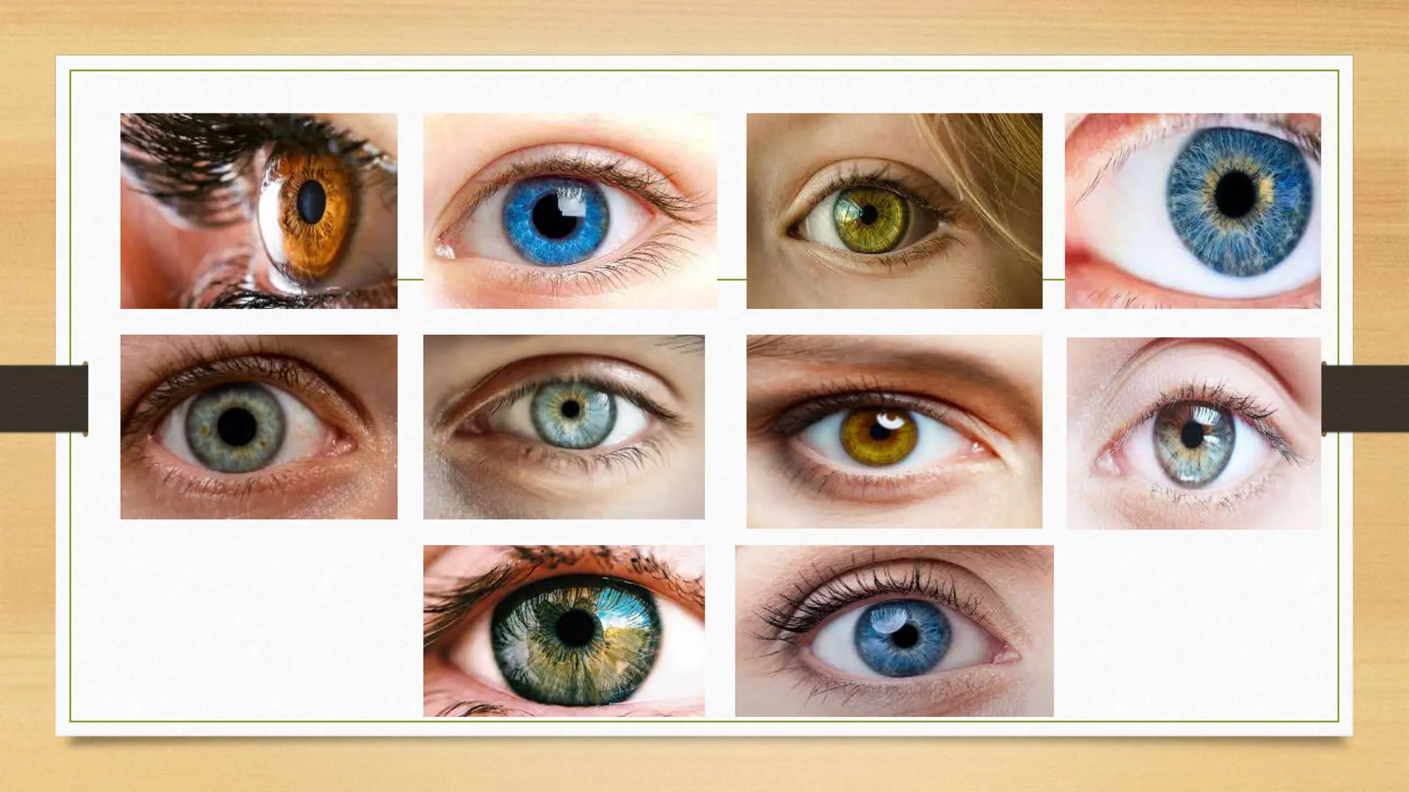 Human Eye and the Camera Powerpoint - Optics | PPTX