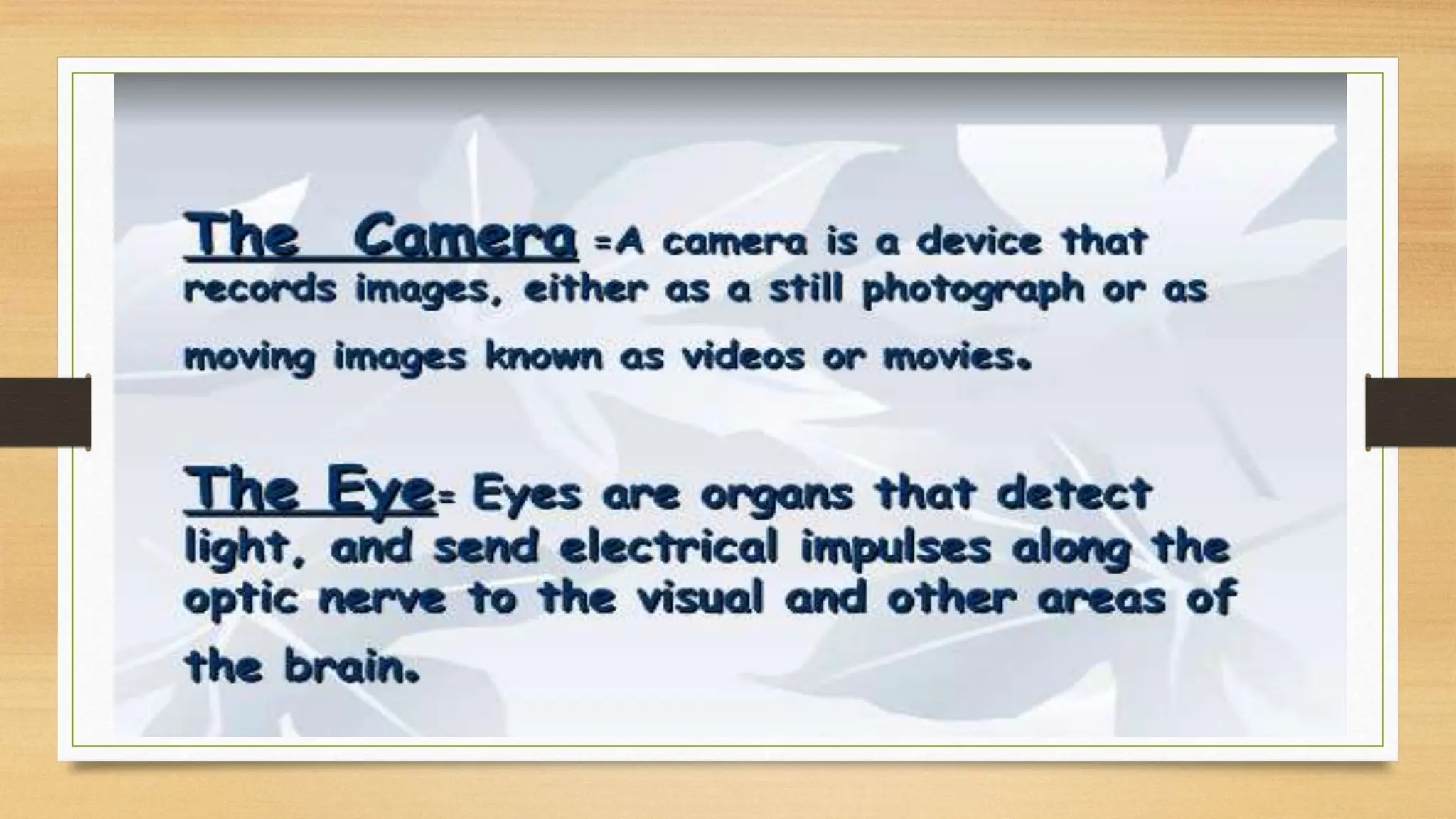 Human Eye and the Camera Powerpoint - Optics | PPTX