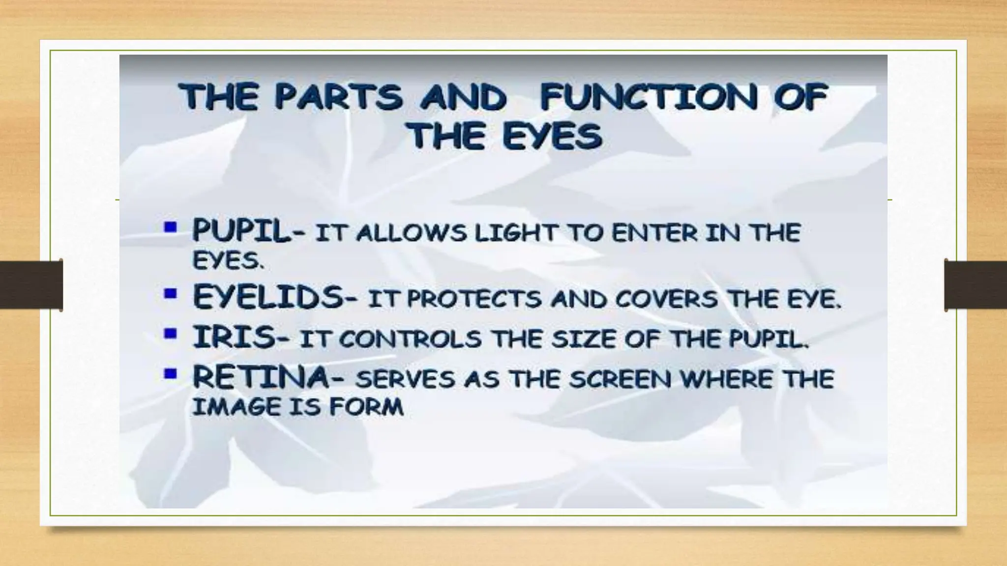 Human Eye and the Camera Powerpoint - Optics | PPTX