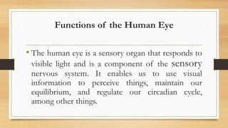 Human Eye and the Camera Powerpoint - Optics | PPTX