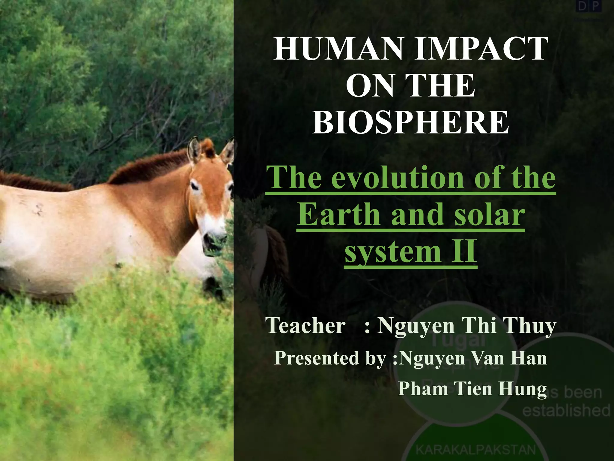 Human impact on the biosphere | PPTX | Environment | Science