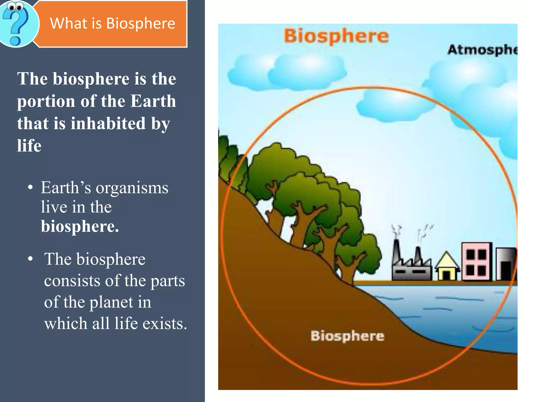 Human impact on the biosphere | PPTX | Environment | Science