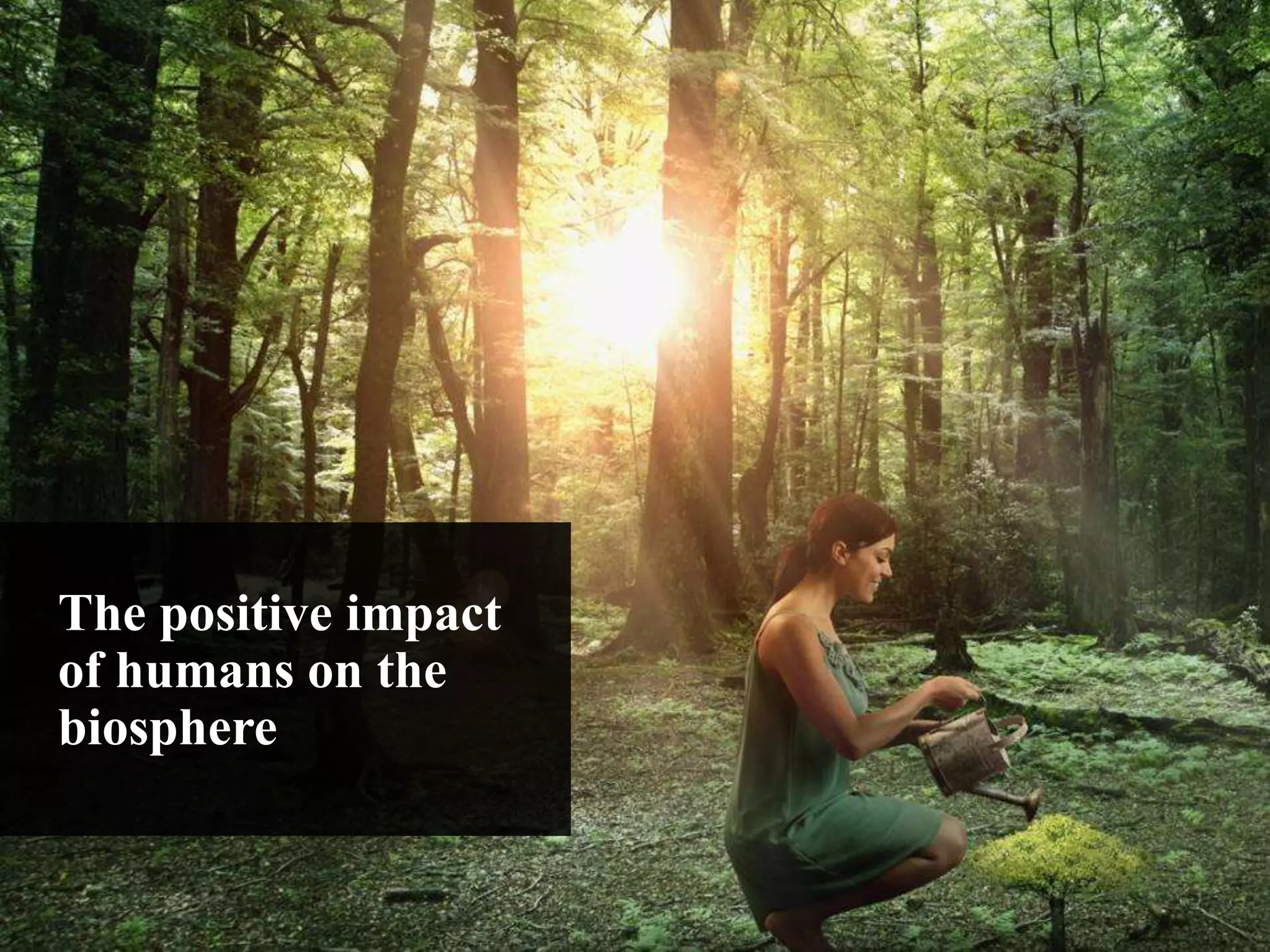 Human impact on the biosphere | PPTX | Environment | Science