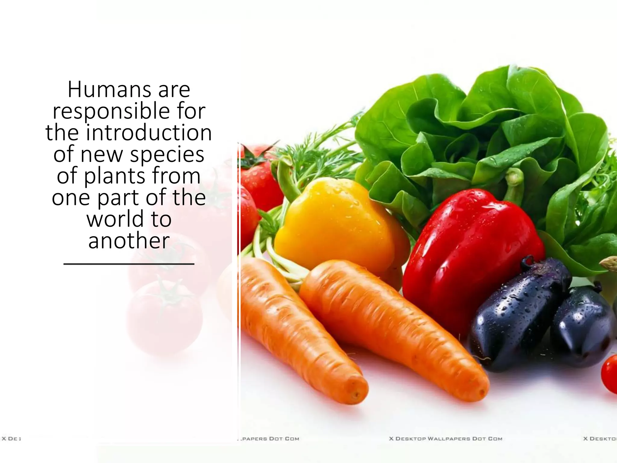 Human impact on the biosphere | PPTX | Environment | Science