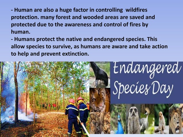 Human impact on the biosphere | PPTX | Environment | Science