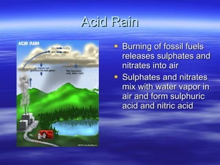 Human Impact On The Environment | PPT