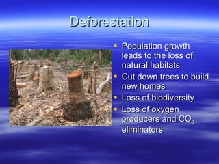 Human Impact On The Environment | PPT