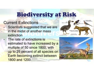 human-impact-to-environment (2).pdf