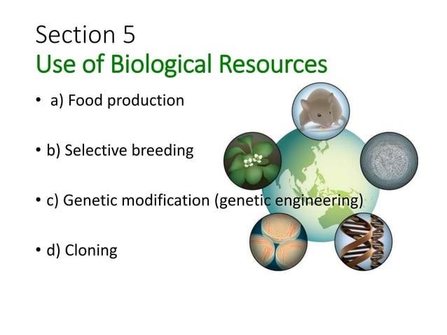 Human-Impact environment ecology bio.pptx