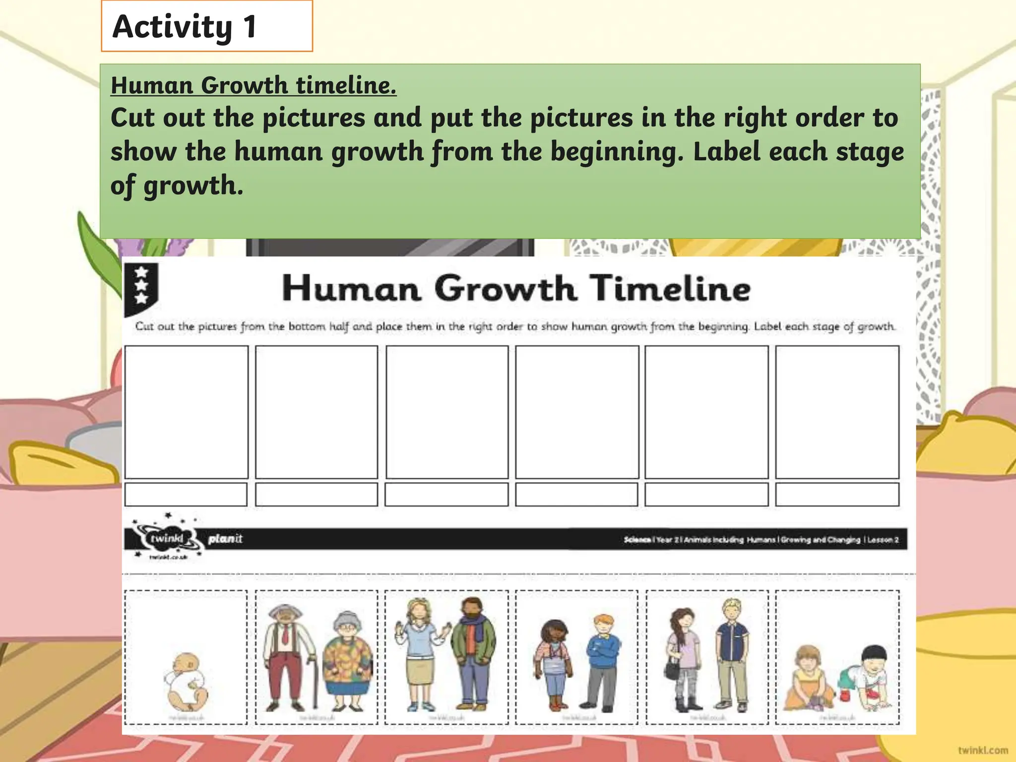 Human-life-cycle-powerpoint.ppt free download | PPT