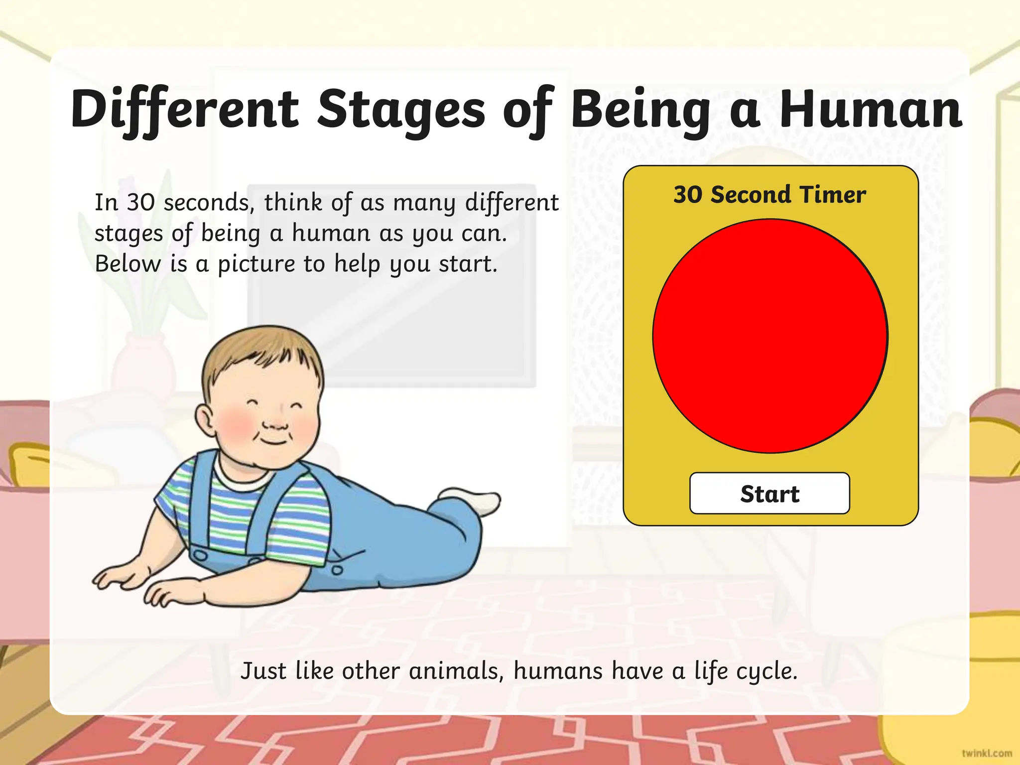 Human-life-cycle-powerpoint.ppt free download | PPT