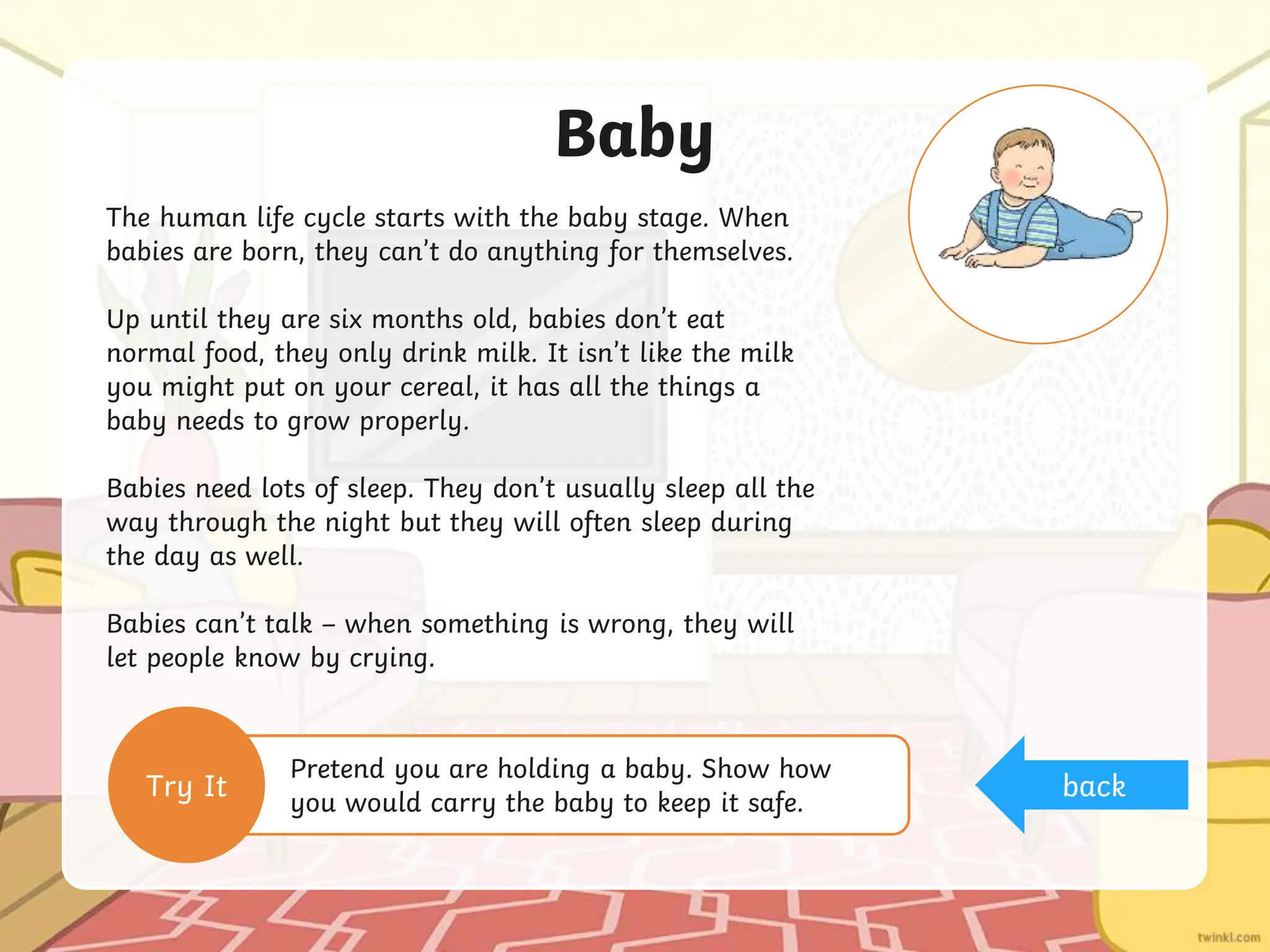 Human-life-cycle-powerpoint.ppt free download | PPT