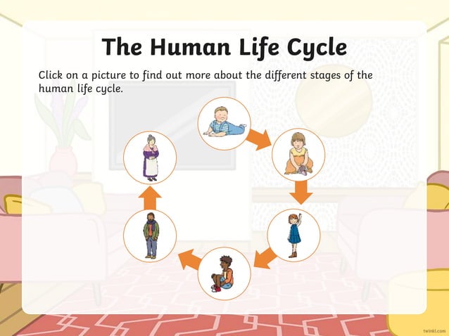 Human-life-cycle-powerpoint.ppt free download | PPT
