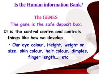 HUMAN LOTTERY - GENETIC TESTING | PPT