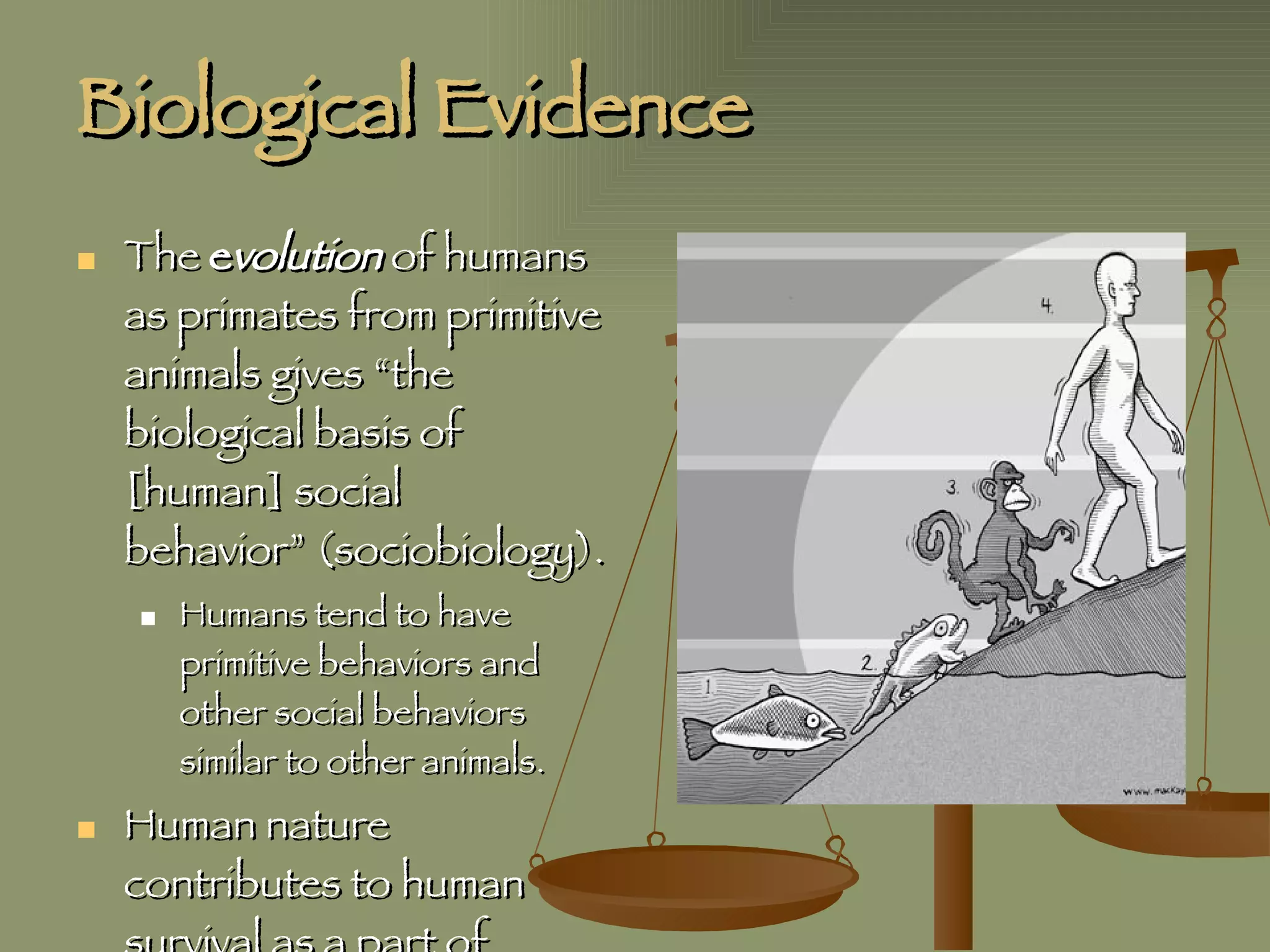 Human Nature Presentation | PPT