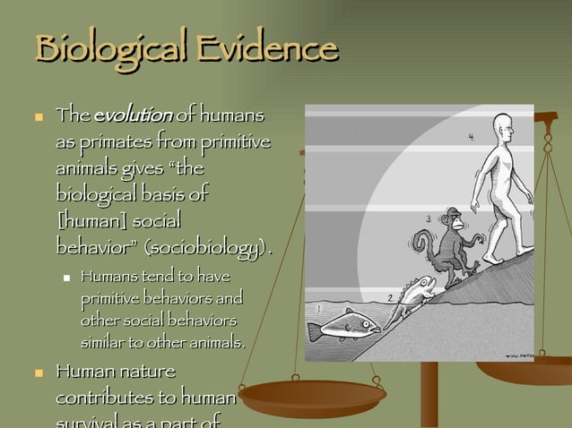 Human Nature Presentation | PPT | Genetics | Science