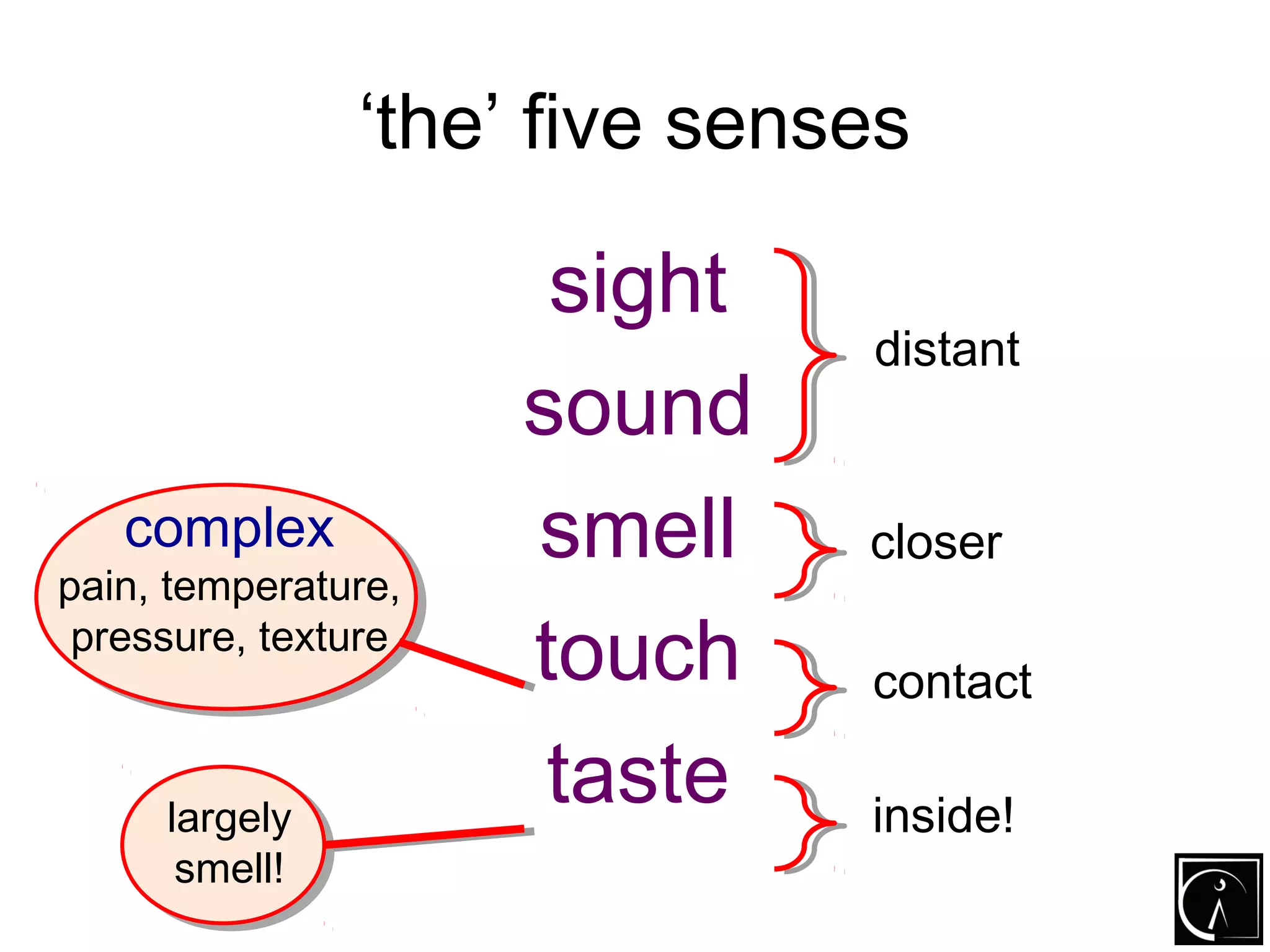 The Human perception & Overview | PPT