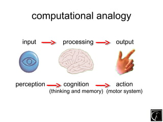 The Human perception & Overview | PPT