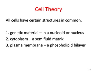 Human-Physiology-Cell-Structure-function-I-lecture-31.July_.2012.ppt