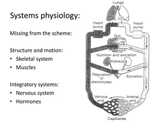 Human-Physiology-Cell-Structure-function-I-lecture-31.July_.2012.ppt