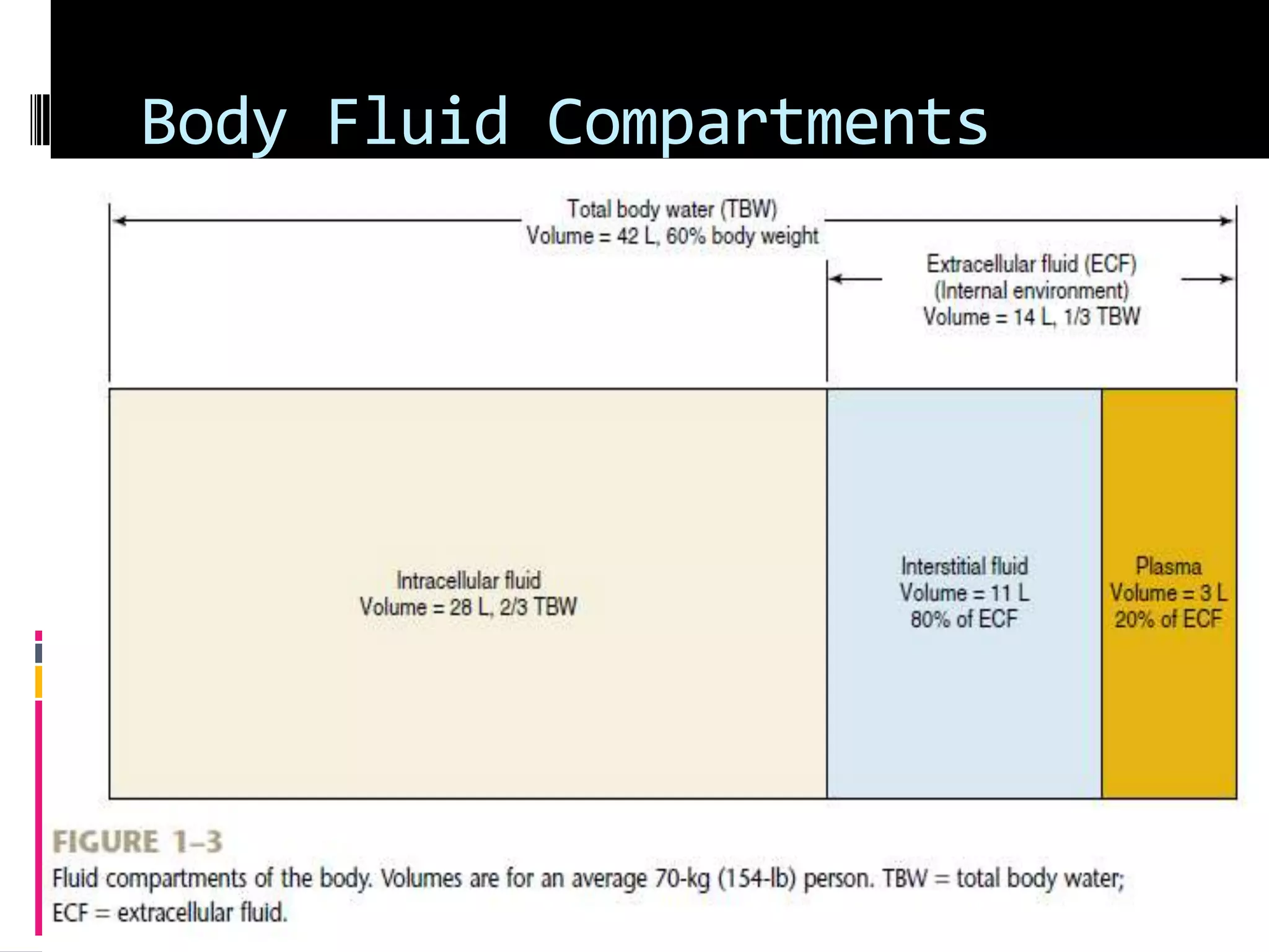 Human Physiology Part 1 | PPTX