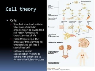 Human Physiology Part 1 | PPTX