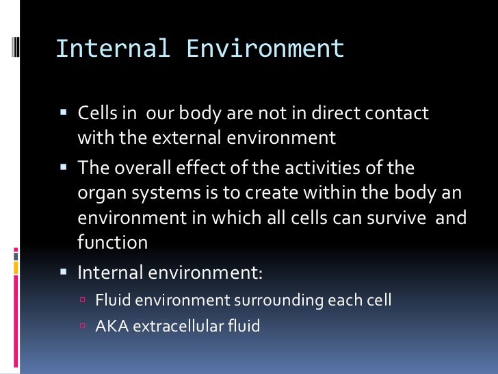 Human Physiology Part 1