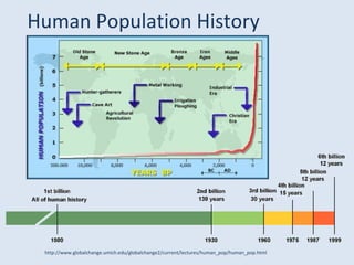 Human population | PPT