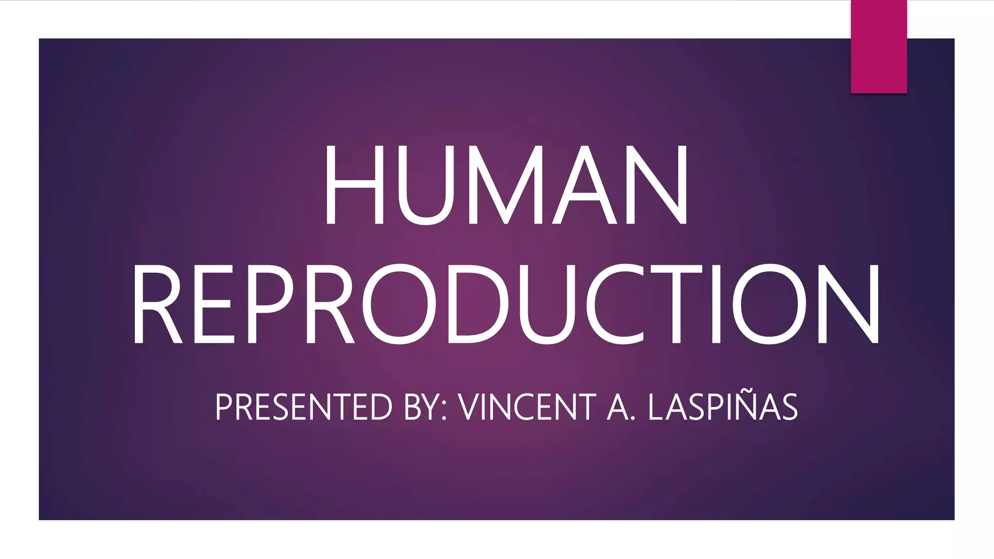 HUMAN-REPRODUCTION | PPT | Free Download