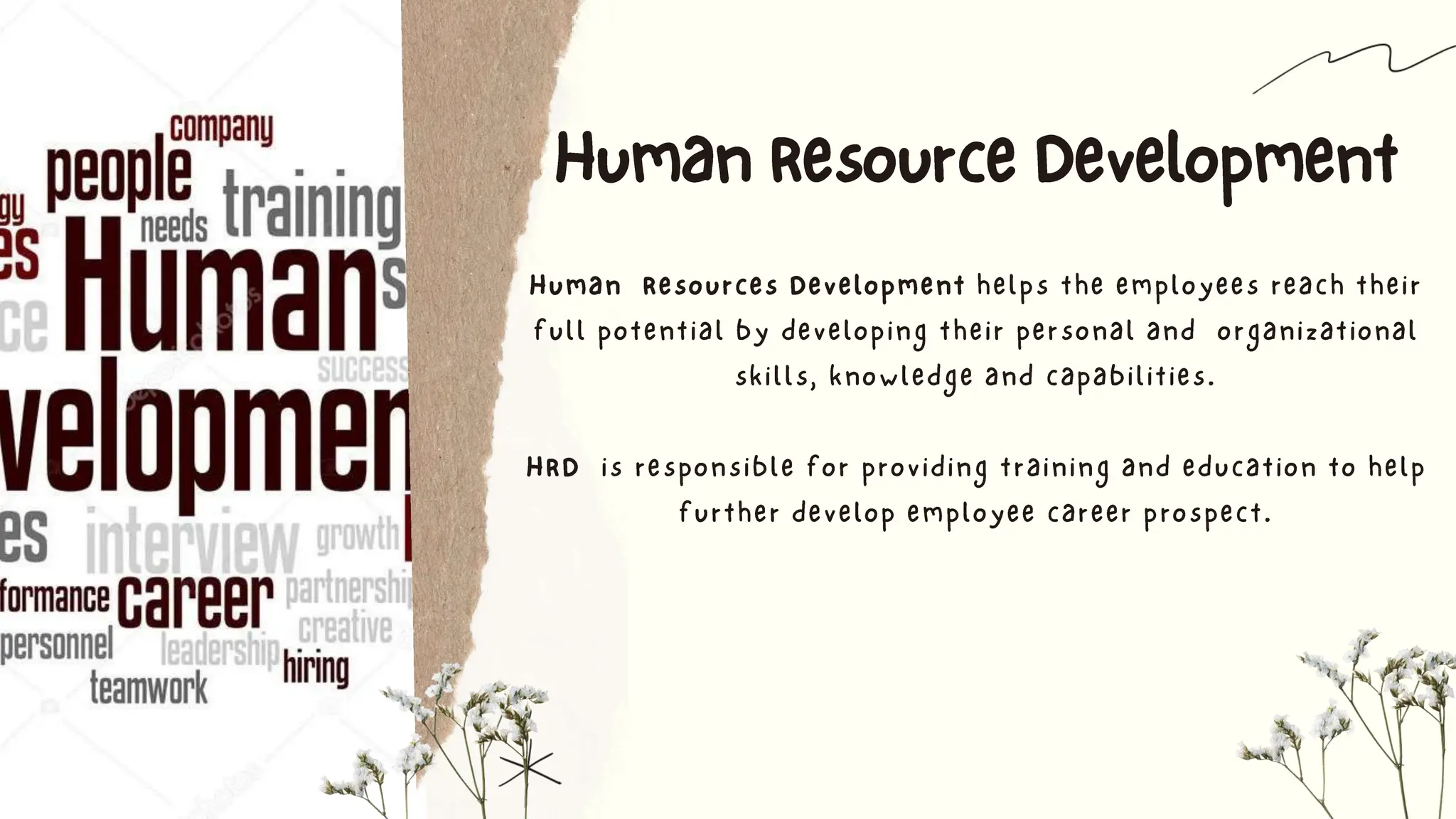 HUMAN-RESOURSEC.pptx Human Resource and Development | PPTX