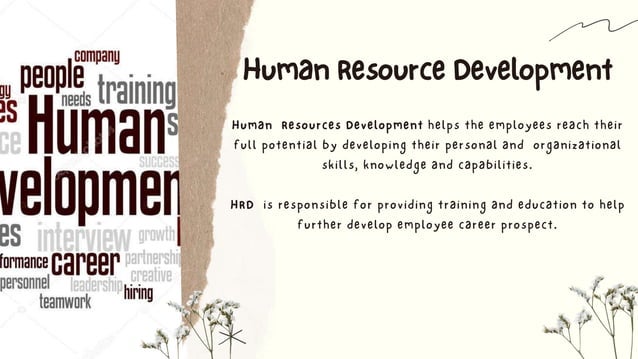 HUMAN-RESOURSEC.pptx Human Resource and Development | PPT