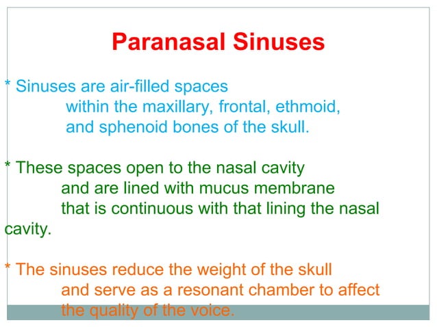 HUMAN-RESPIRATORY-SYSTEM.ppt respiratory | PPT