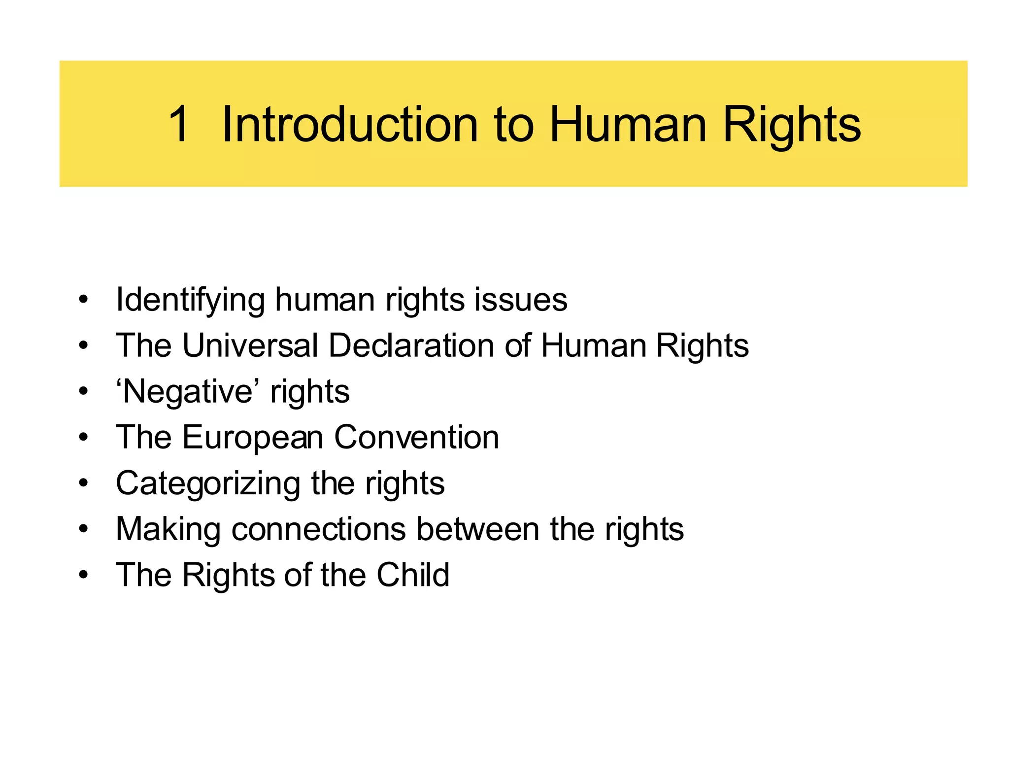 Human Rights Vi Form | PPT