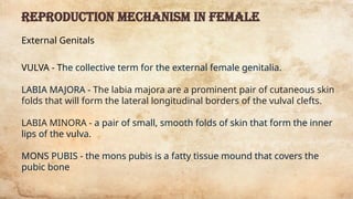 HUMAN-SEXUAL-REPRODUCTION.pptx grade 10 module 1 | PPT