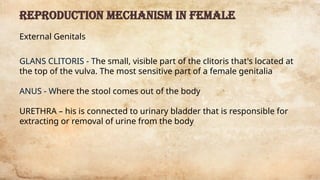 HUMAN-SEXUAL-REPRODUCTION.pptx grade 10 module 1 | PPT
