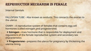 HUMAN-SEXUAL-REPRODUCTION.pptx grade 10 module 1 | PPT