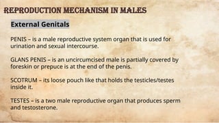 HUMAN-SEXUAL-REPRODUCTION.pptx grade 10 module 1 | PPT