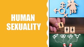 HUMAN-SEXUALITY(different types of gender) | PPTX