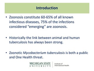 Human-to-Bovine M. Tuberculosis Transmission A Reverse Zoonosis | PDF