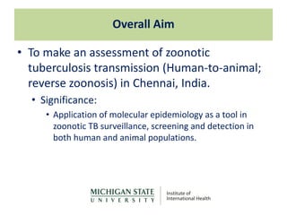 Human-to-Bovine M. Tuberculosis Transmission A Reverse Zoonosis | PDF